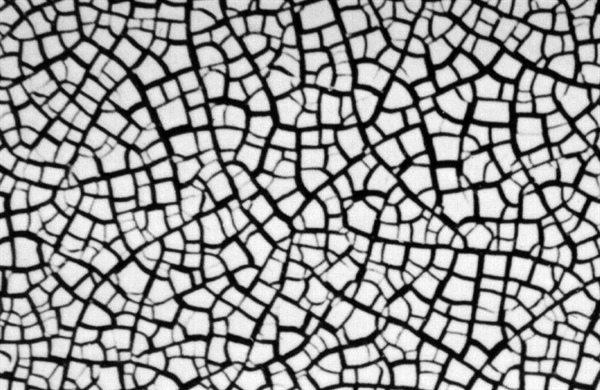 Crack patterns