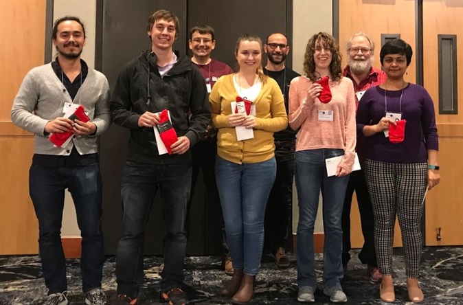 Red Sock Award for Best Posters at DS19