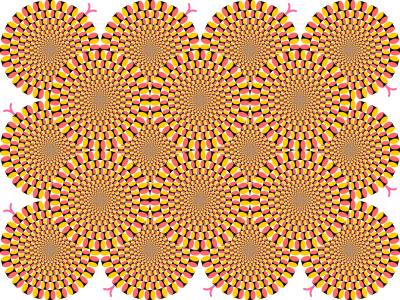 Understanding Sensory Induced Hallucinations