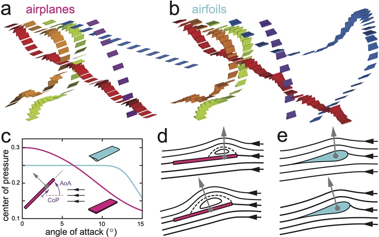 The Unconventional Aerodynamics of Paper Airplanes