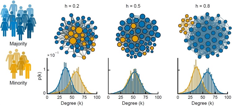 Marginalization Effects in Face-to-face Social Networks