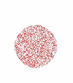 Geckos Have Skin Patterning Showing Variation Within and Among Individuals