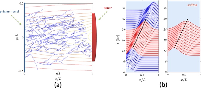 Collective Cellular Motion in Tissues