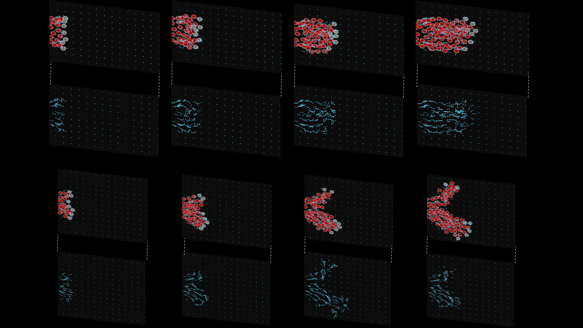 The Interplay Between Cell Migration and Extracellular Matrix ...