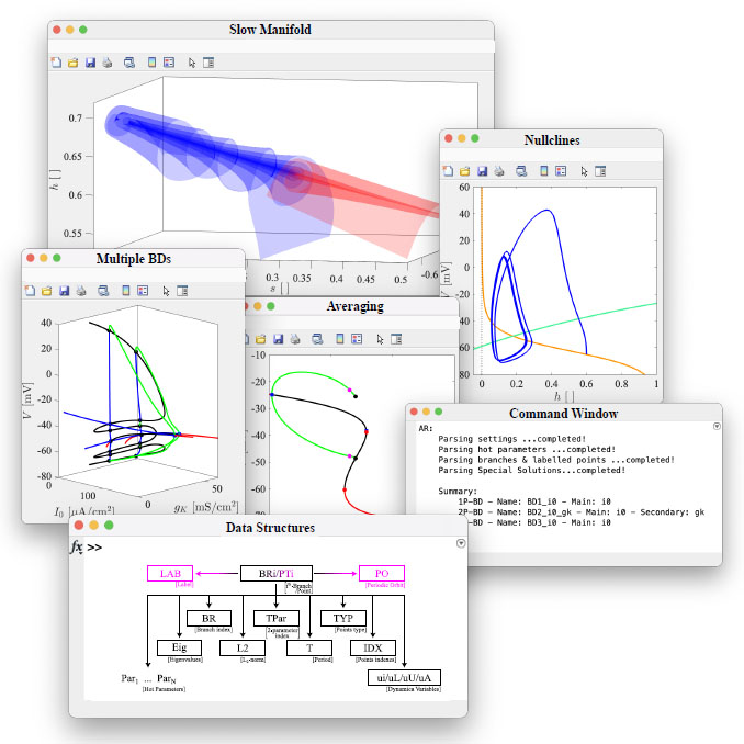 XPPLORE: Import, Analyze, and Visualize XPPAUT Data in MATLAB